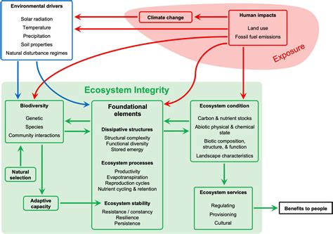 Frontiers Using Ecosystem Integrity To Maximize Climate Mitigation