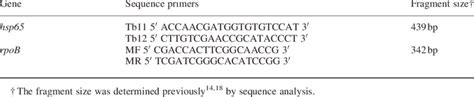 Sequence Primers Used In Pcr Amplifications Of Genes Hsp65 And Rpob For