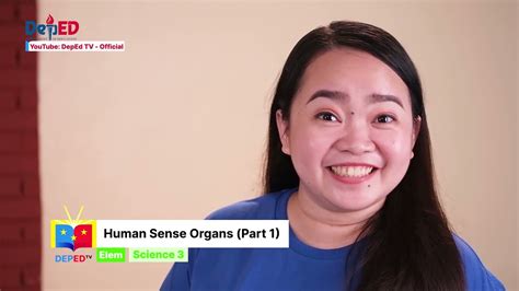 Grade 3 Science Q2 Eps 01 Human Sense Organs Part 1 Youtube