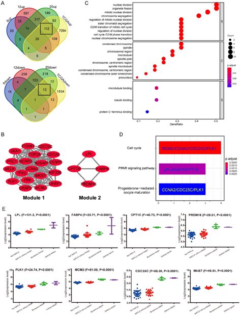 Identification Of Shared Differentially Expressed Genes Degs In Nash