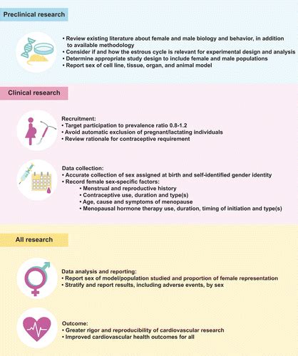 Female Sex Specific Considerations To Improve Rigor And Reproducibility