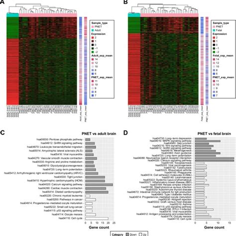 Hierarchical Clustering And Pathway Enrichment Analysis Of