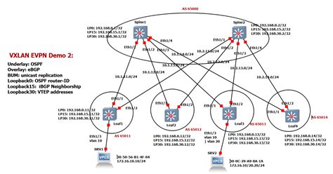 11 vxlan bgp evpn configuration example2 rayka