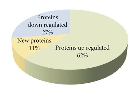 Pie Chart Showing The Molecular Mass Distribution Kda Of Proteins