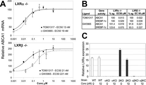 Lxr Mediated Regulation Of Abca1 And Srebp 1c Gene Expression In