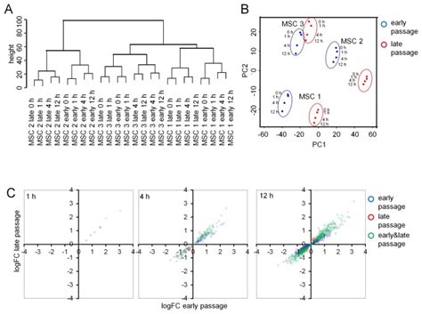 Hierarchical Clustering Of Global Gene Expression Profiles Euclidean