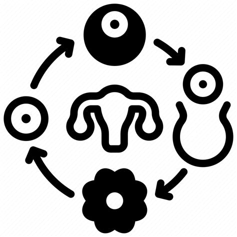 Fertility Cycle Women Menopause Menopausal Menstrual Awareness