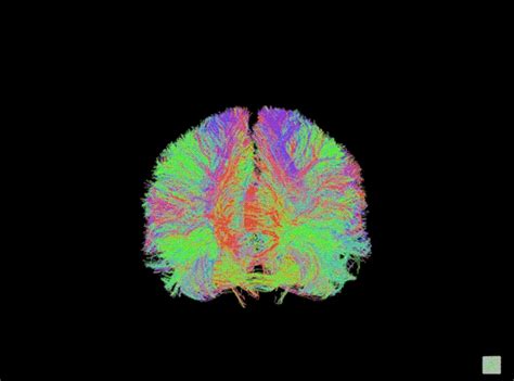 Mapping The Brain With Data Science Neuroscience News