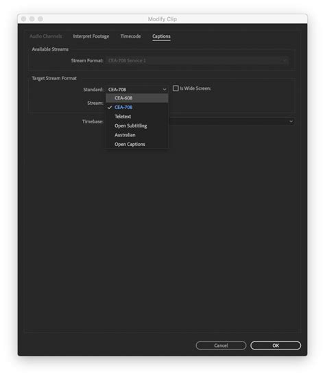 encoder still does not embed caption files adobe community 10900117