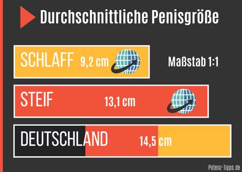 Penisgröße Was Ist Durchschnitt Ländervergleich [2021] Potenz Tipps