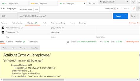 python requesting a specific view in django multitenant api stack