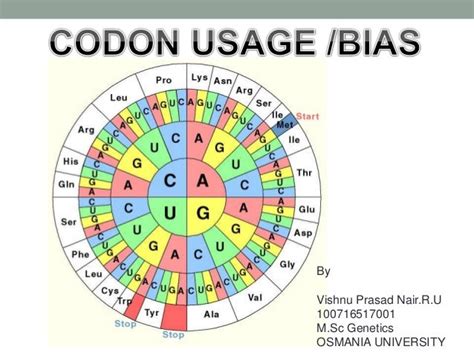 Codon Usage Bias