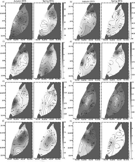 Spatial Distribution Of The Surface Temperature [8c] A Salinity