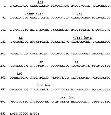 Nucleotide Sequence Of The Osp 1 Promoter The Sequence Is Shown By