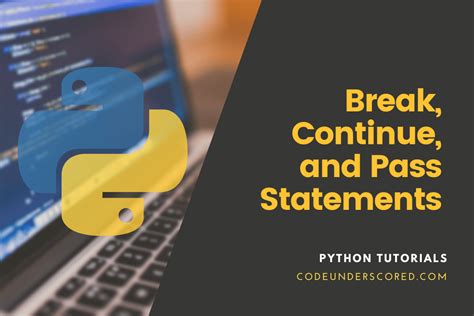 python break continue and pass statements code underscored