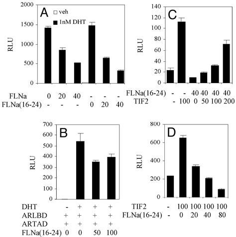 Filamin A Fragment Localizes To The Nucleus To Regulate Androgen