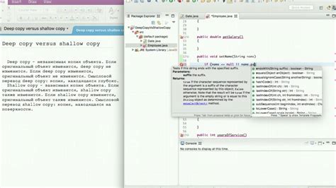 shallow copy example in java