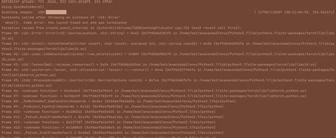 terminate called after throwing an instance of c10 error · issue