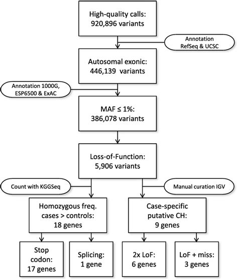 Flowchart Explaining Multiple Filtering Steps To Select Lof Variants