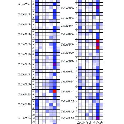 Heat Map Of Cis Acting Elements Of Expansin Genes Color Indicates The