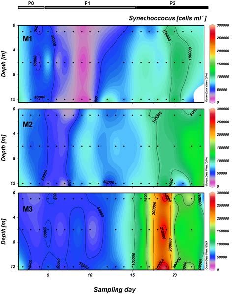 Synechococcus In Cells Ml −1 At Each Of The Three Depths 1 6 And 12