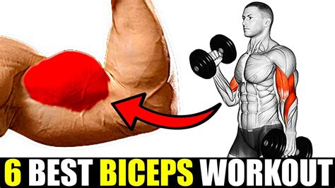6 Best Biceps Workout At Gym To Get Bigger Arms Fast Youtube