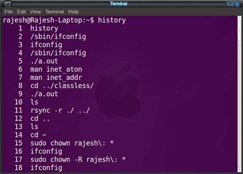 how to exit the terminal in linux mint systran box