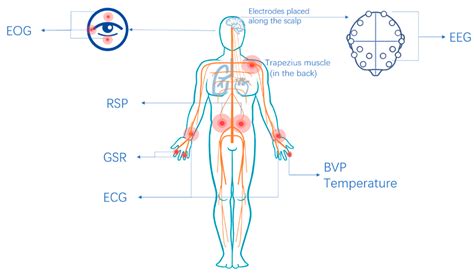 Sensors Free Full Text A Review Of Emotion Recognition Using
