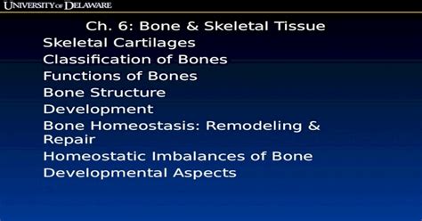 Ppt Ch 6 Bone And Skeletal Tissue Skeletal Cartilages Classification