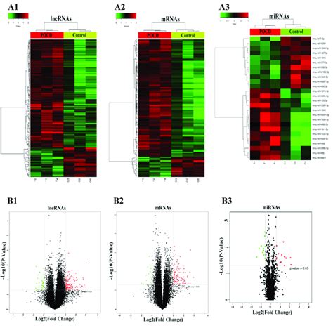 Heatmap And Volcano Plots Showing Lncrna Mrna And Mirna Levels