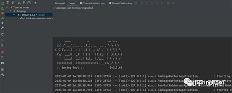 开发工具中springboot使用外置tomcat启动 亲测有效 第458篇 知乎