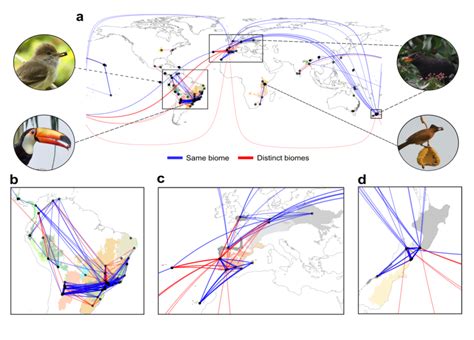 Plant Frugivore Interactions Shared Among Local Networks Ecoregions