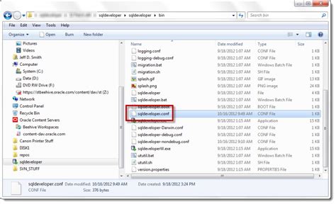 using debug mode in oracle sql developer to log sql