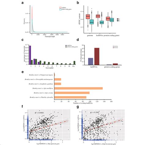 Characteristics Of Silkworm Lncrnas A Transcript Length Distribution