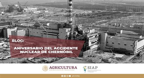 Aniversario Del Accidente Nuclear De Chernóbil Servicio De
