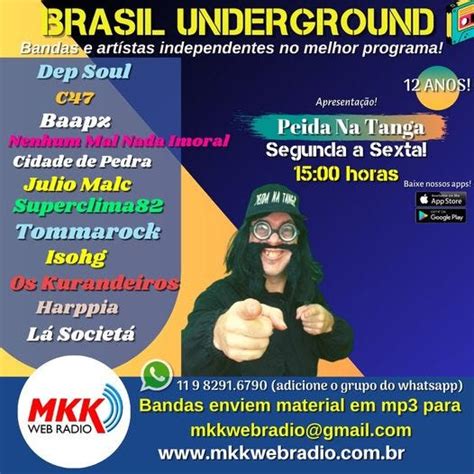 Resenha Sobre O Cd Pevê Ii Paulo “pevê Valério — Site Fernando Tavares