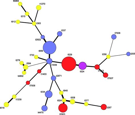 Minimum Spanning Tree Visualizing The Spa Typing Results Each Node