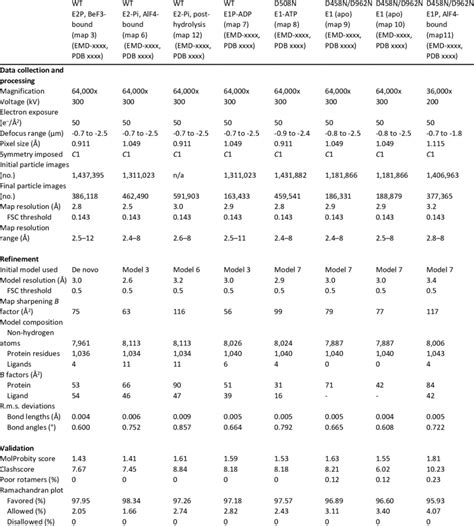 Cryo Em Data Collection Refinement And Validation Statistics