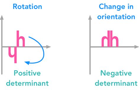 comparison of the effect of positive and negative determinants