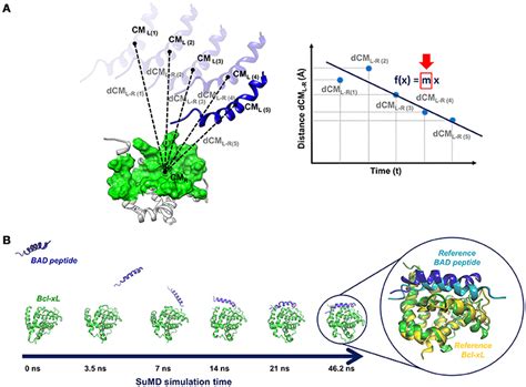 Frontiers Bridging Molecular Docking To Molecular Dynamics In