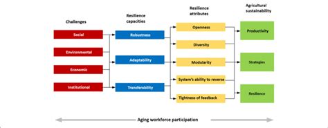 Conceptual Framework Showing Inter Linkages Between Different