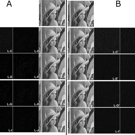 Restoration Results Of Various Methods Including Proposed Method For