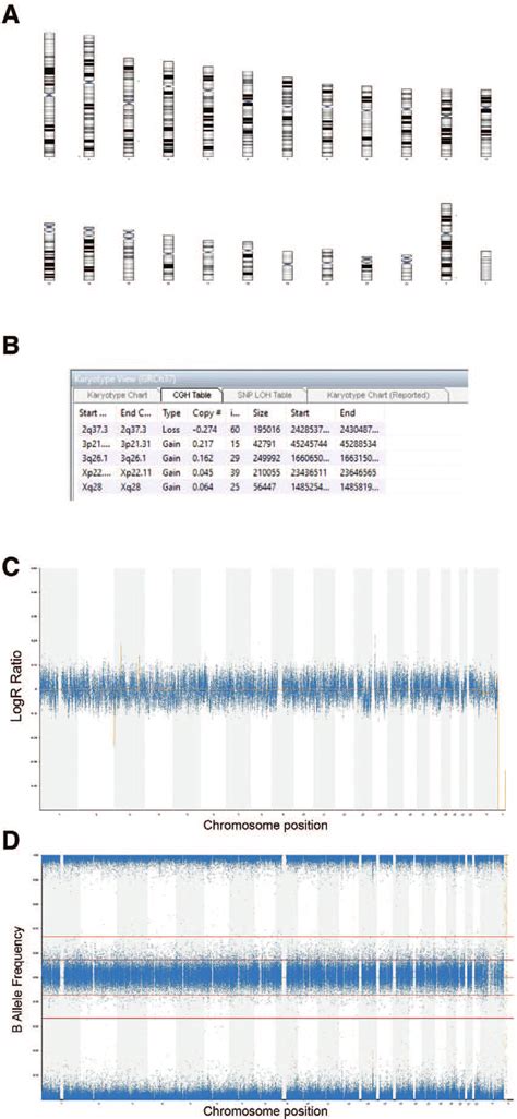 Snp Array Analysis Is Carried Out Using Bluefuse A Example Of A