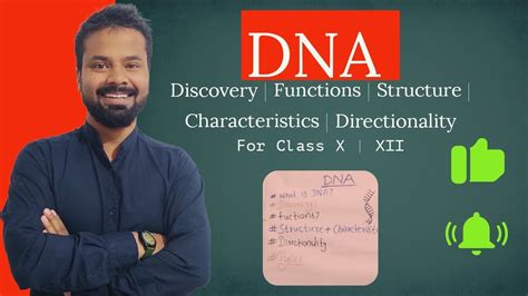 What Is Dna Function Structure Characteristics Directionality