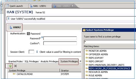 inactive versions switch ownership sap blogs