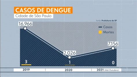 Casos De Dengue Aumentam 253 Na Cidade De Sp São Paulo G1