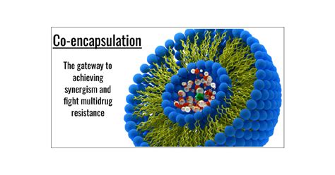 craft of co encapsulation in nanomedicine a struggle to achieve