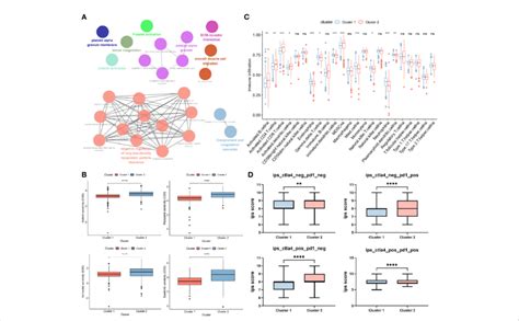 Phenotypic Differences Between Clusters And Potential Individualized