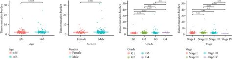 Tumor Mutation Burden Analyses A Boxplots Showed The Differences In
