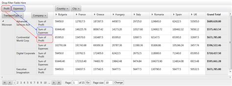 telerik web forms styling radpivotgrid telerik ui for asp ajax